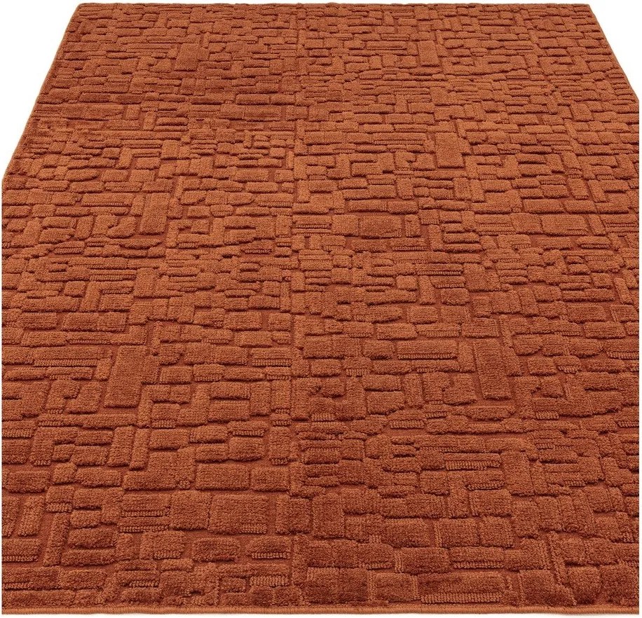 Koberec v terakotové barvě 200x290 cm – Asiatic Carpets