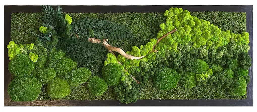 WOODILO Obraz ze stabilizovaného mechu a rostlin 212 Rozměr obrazu: 100x100 cm, Barva rámu: Ořech tmavý (mořená borovice), Síla rámu (pohledová): 2,5 cm