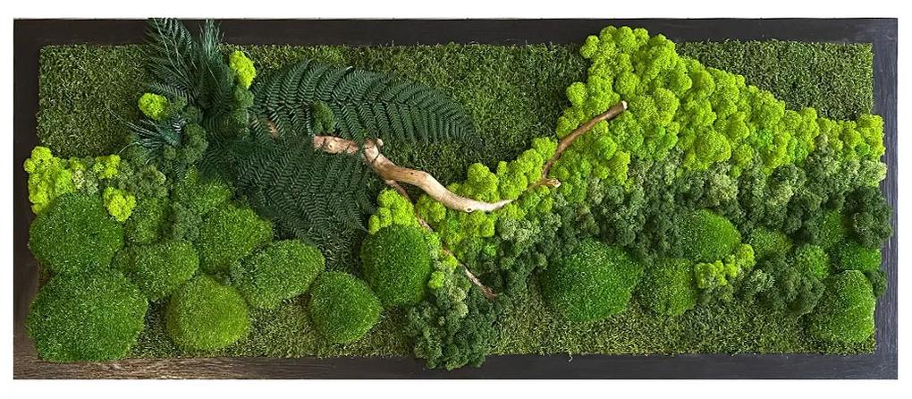 WOODILO Obraz ze stabilizovaného mechu a rostlin 212 Rozměr obrazu: 110x45 cm, Barva rámu: Mahagon, Síla rámu (pohledová): 4,5 cm