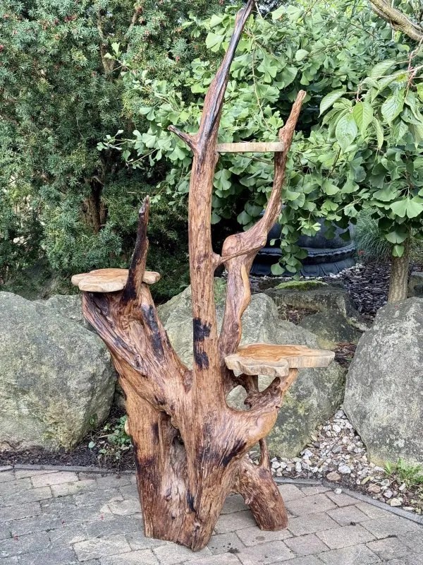 Škrabadlo pro kočky nebo stojan na květiny, Teak 209 cm 185 - 220 cm