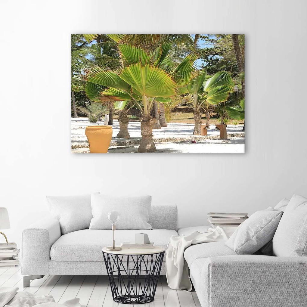 Gario Obraz na plátně Tropické stromy Rozměry: 60 x 40 cm
