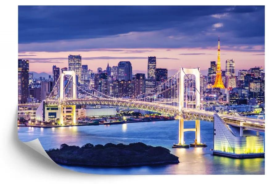 Fototapeta Rainbow Bridge In Tokio Strukturální vinyl 254x184