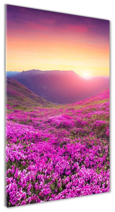Wallmuralia Foto obraz skleněný svislý Hory rododendrom 50x100 cm
