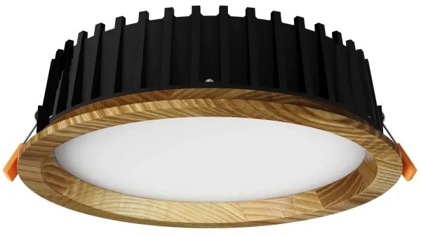 APLED - LED Podhledové RONDO WOODLINE LED/6W/230V 4000K pr. 15 cm jasan masiv