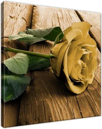 Tištěný obraz Krásná růže na molu 30x30cm 1809A_1AI