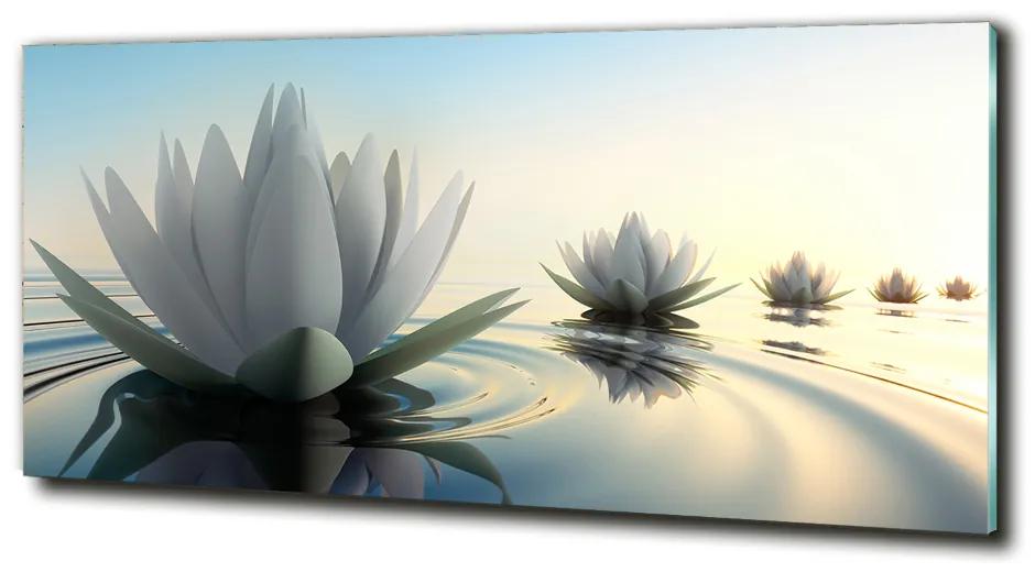 Wallmuralia Fotoobraz na skle Květ lotosu 125x50 cm