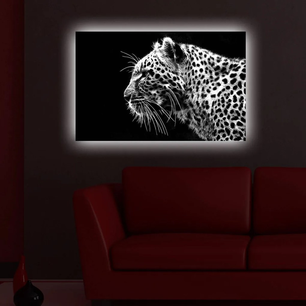 Obraz s LED osvětlením LEVHART 44 45 x 70 cm