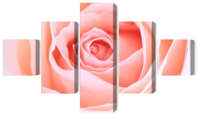 Vícedílný obraz Pastelová Růže Na 3D Makro Měřítku Nedostatek Nedostatek Plátno Canvas 250x150
