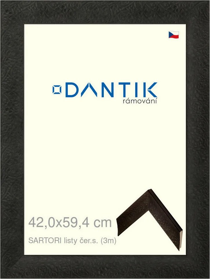 DANTIK rámeček 42x59,4 | SARTORI listy čer.s. (Plexi Čiré)