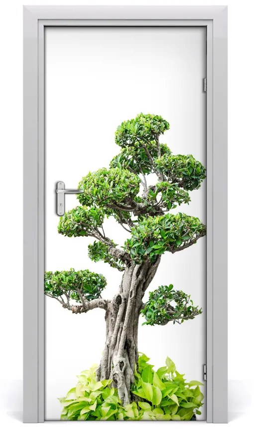 Fototapeta samolepící bonsai 75x205 cm