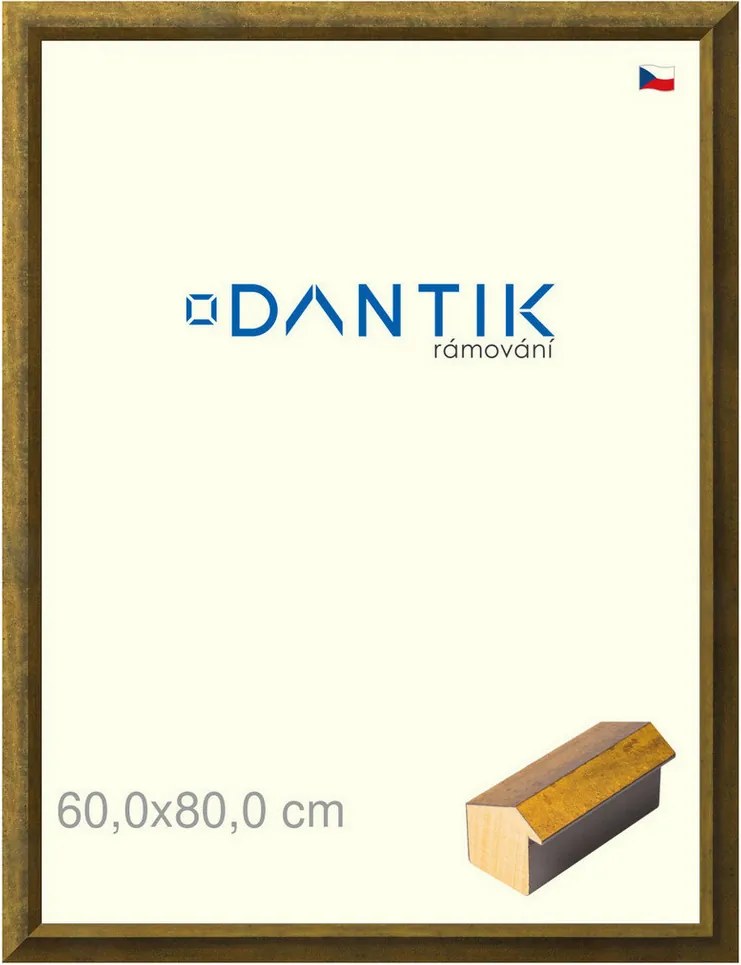 DANTIK rámeček 60x80 | Forgia Gold (Plexi Čiré)