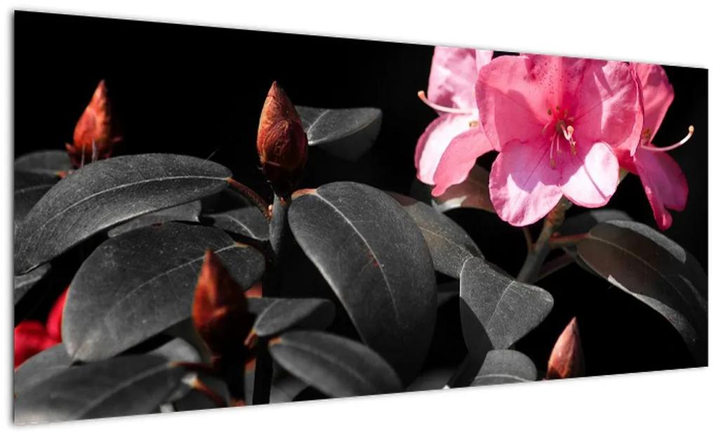 Obraz květiny (100x40cm)