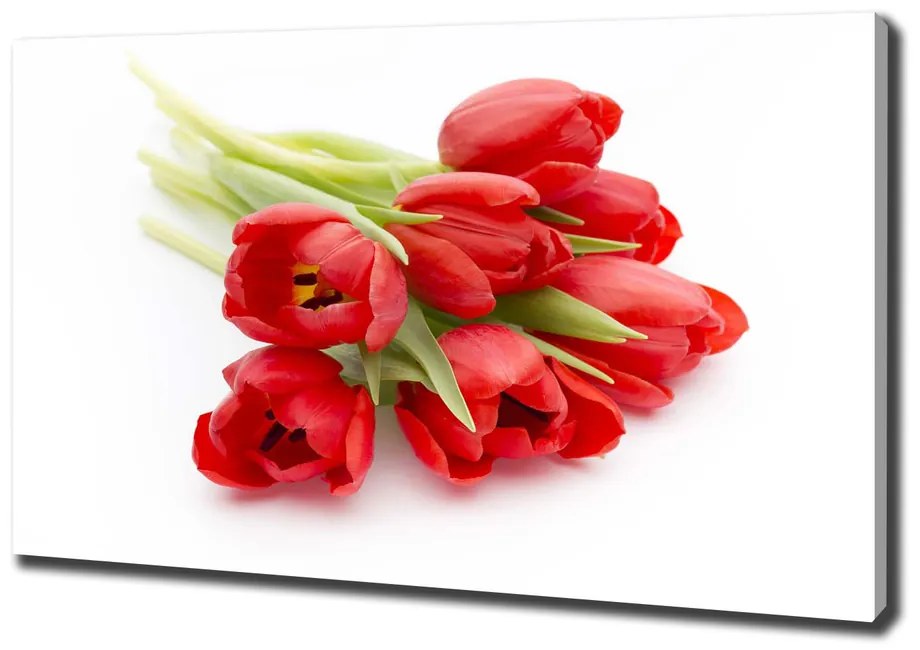 Wallmuralia Foto obraz na plátně Červené tulipány 100x70 cm