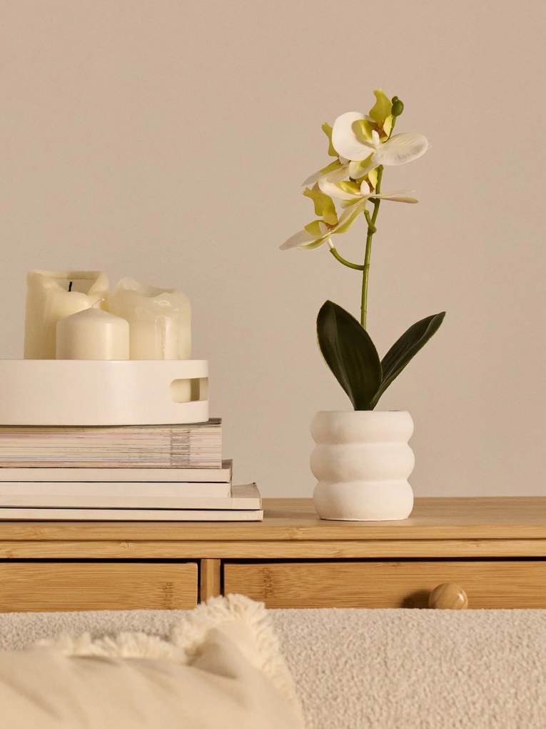 Sinsay - Dekorativní rostlina v květináči – orchidej - bílá