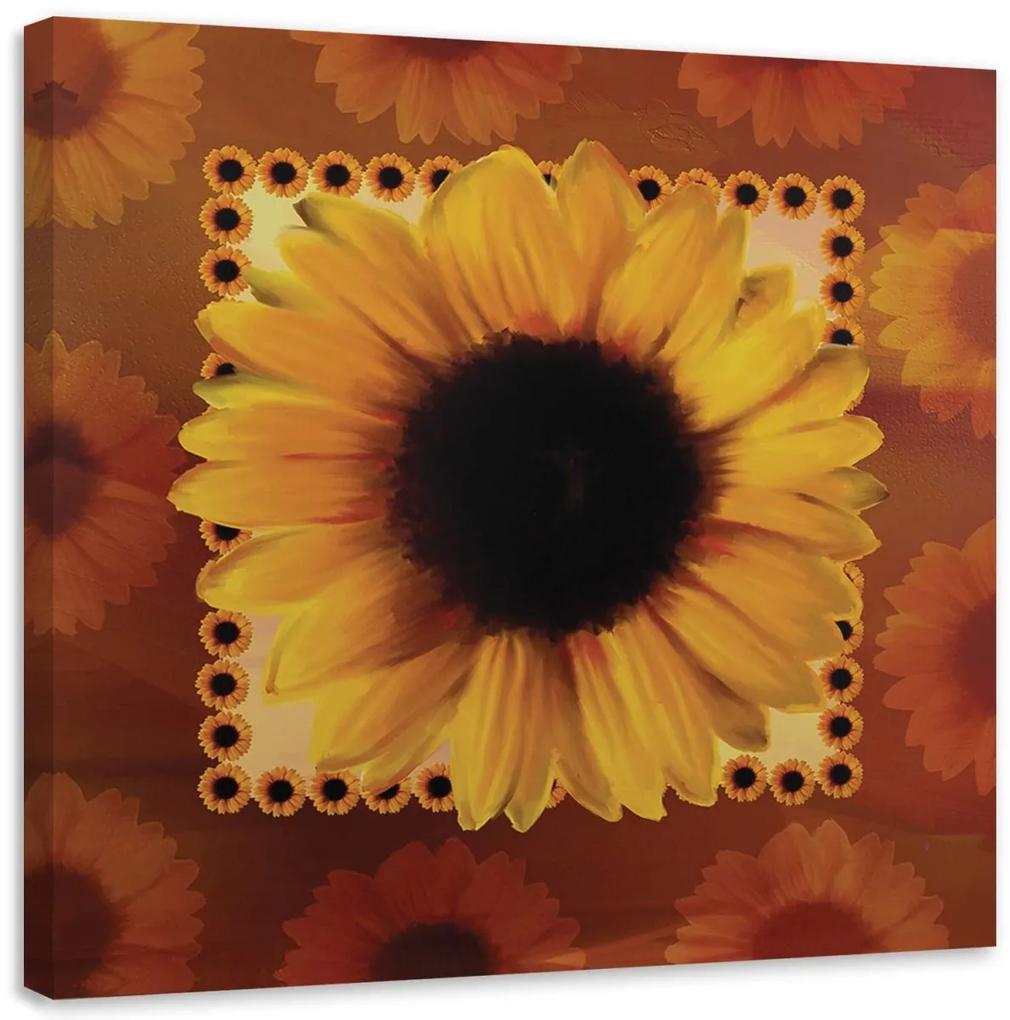 Obraz na plátně Příroda slunečnic - 60x60 cm