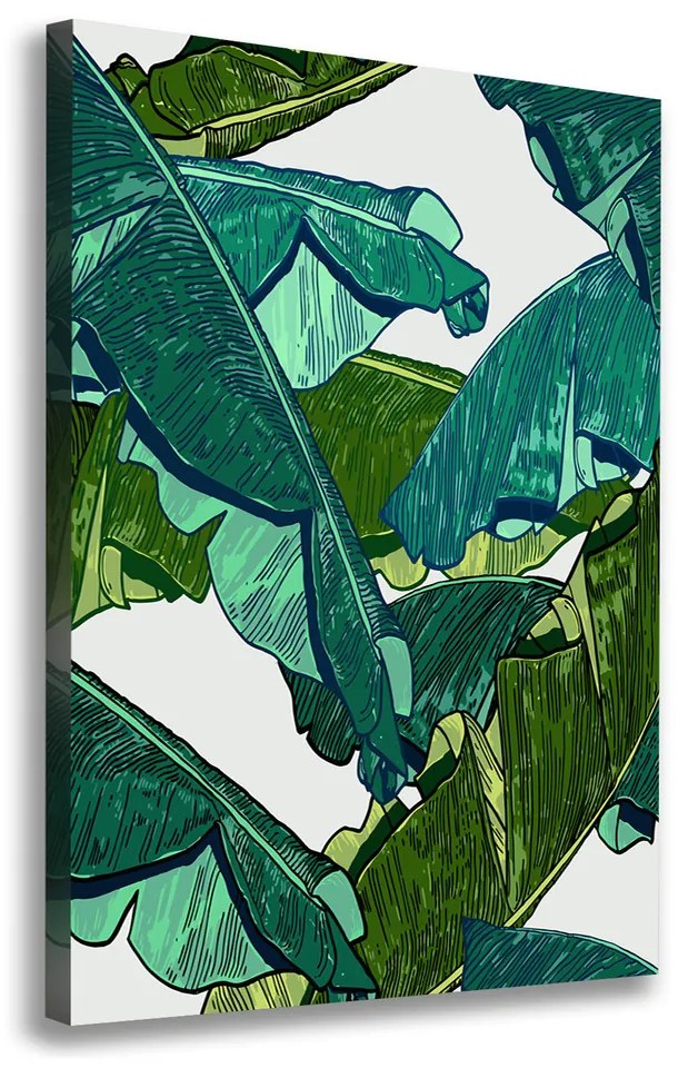 Wallmuralia Foto obraz na plátně Listí banánovníku 70x100 cm