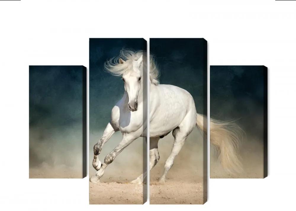 Vícedílný obraz Bílý Kůň Ve Cvalu Nedostatek Nedostatek Přírodní plátno 160x120