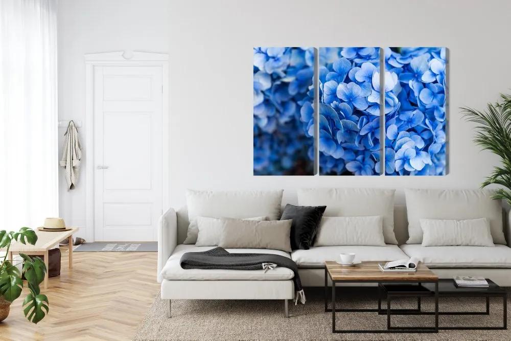 Vícedílný obraz Modré Květy Hortenzie Zblízka Nedostatek Nedostatek Přírodní plátno 180x120
