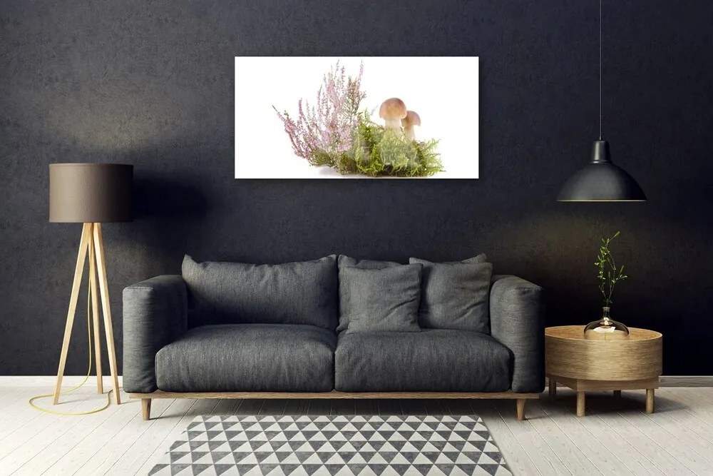 Obraz na skle Houby Rostlina Příroda 120x60 cm
