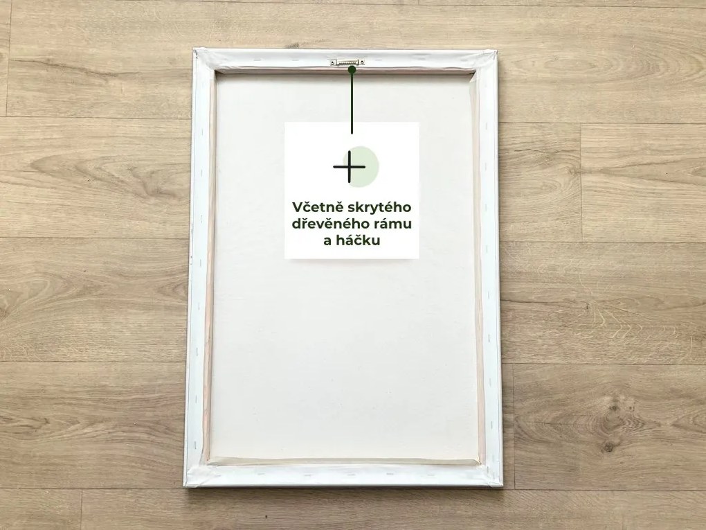 Benlemi Obraz na plátně na stěnu do dětského pokoje CESTA MALÉHO PRINCE Zvolte rozměr: 70 x 70 cm