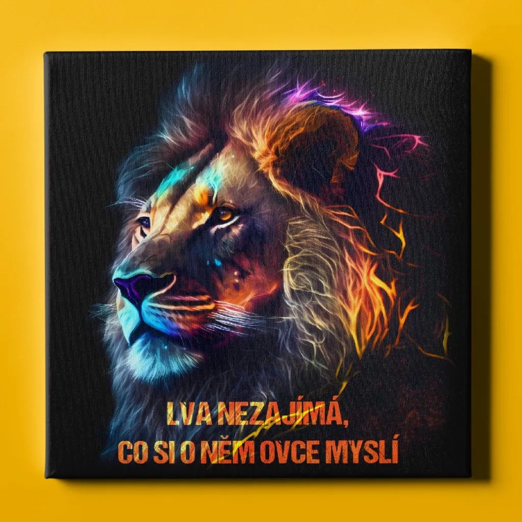 Obraz na plátně - Lva nezajímá, co si o něm ovce myslí FeelHappy.cz Velikost obrazu: 60 x 60 cm