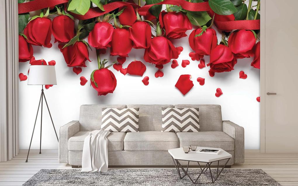 Malvis ® Tapeta Rudé růže Vel. (šířka x výška): 432 x 290 cm