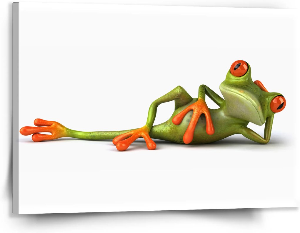 Obraz - Ležící žába 150x110 cm