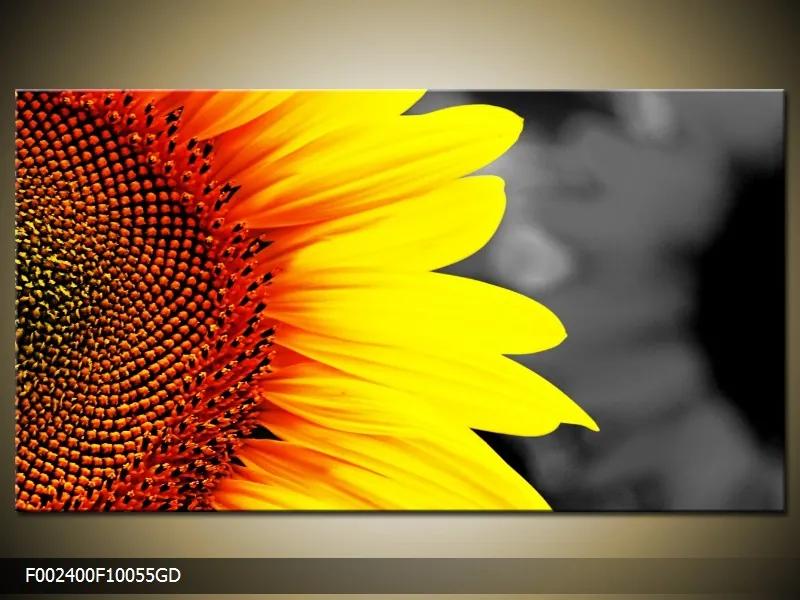 Obraz květu slunečnice (), 40 dalších rozměrů