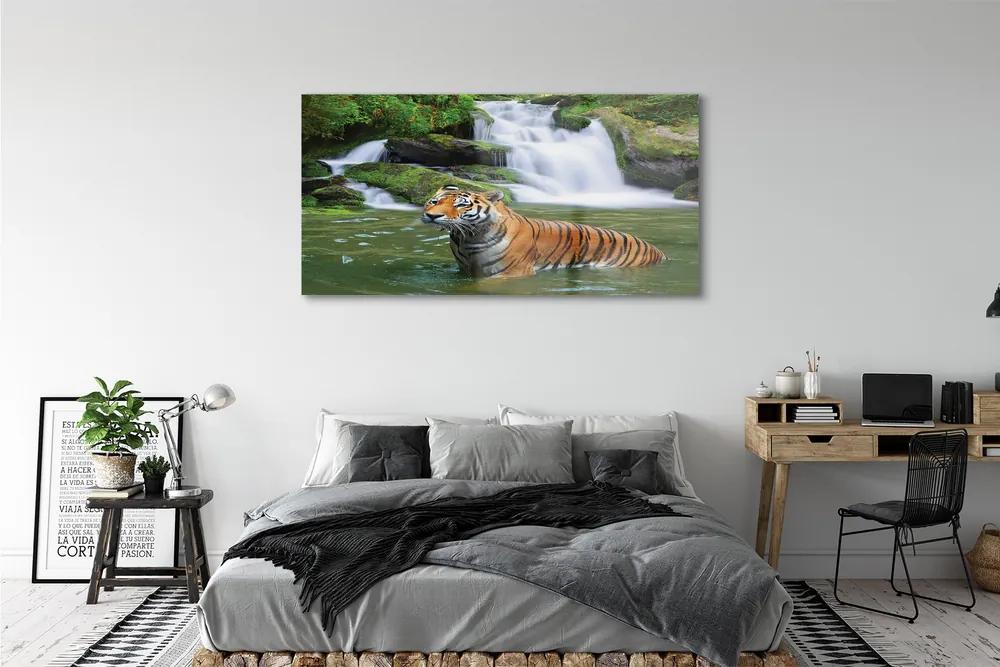 akrylový obraz tygr vodopád 140x70 cm