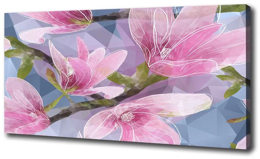 Wallmuralia Foto obraz na plátně do obýváku Růžová magnolie 100x50