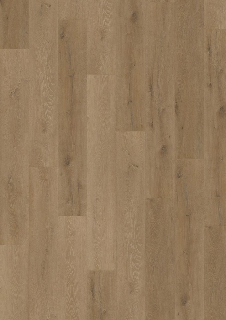 Oneflor, Vinylová podlaha lepená ECO 55 059 Prestige Oak Light Amber - dub, 1219,2 x 184,1 mm