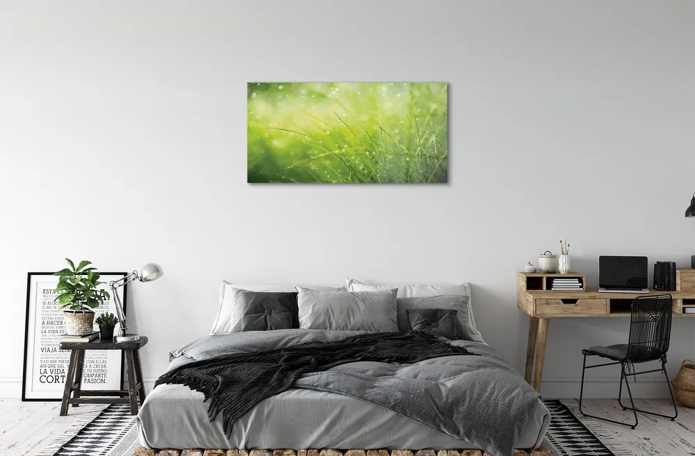 Obraz na skle Tráva kapky rosy 100x50 cm