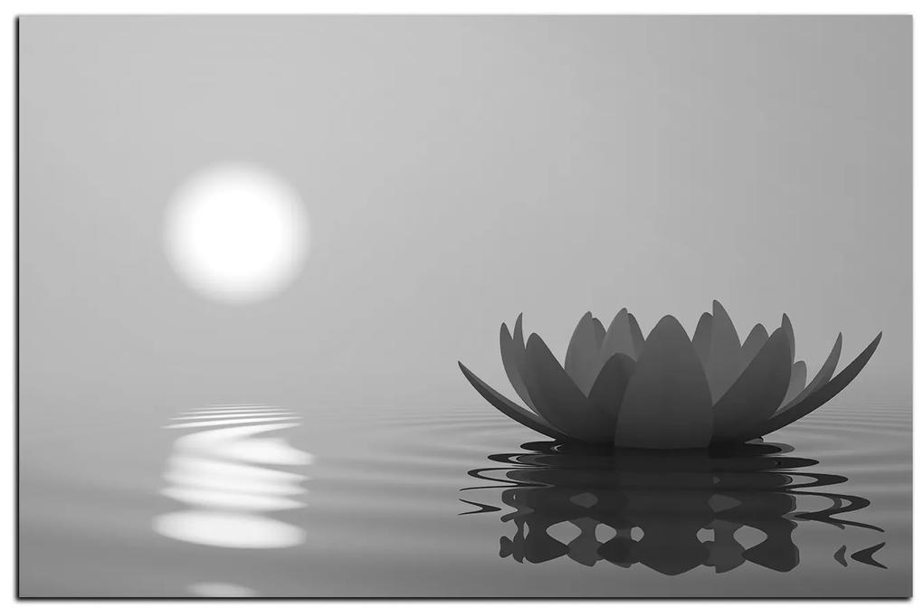 Obraz na plátně - Zen lotus 1167QA (75x50 cm)