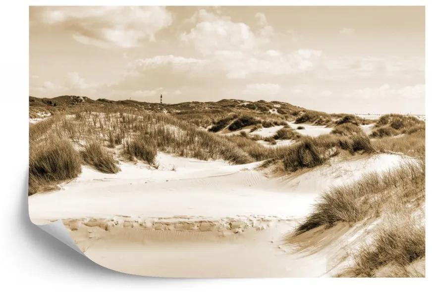 Fototapeta Dune Paradise V Sepia Strukturální vinyl 254x184