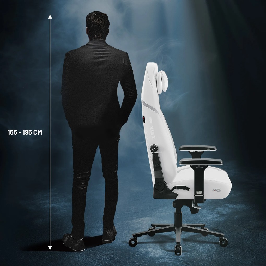 Herní židle bílá Normal Size: Diablo X-Eye Prime Ghosted White