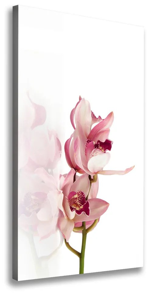 Wallmuralia Foto obraz na plátně Růžová orchidej 70x140 cm