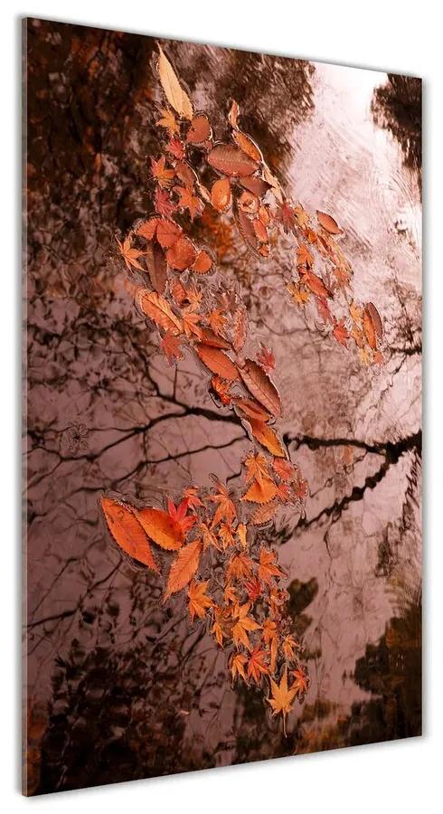 Wallmuralia Fotoobraz na skle Podzimní listí 50x100 cm