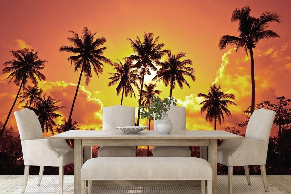 Samolepící tapeta kokosové palmy na pláži - 150x100 cm