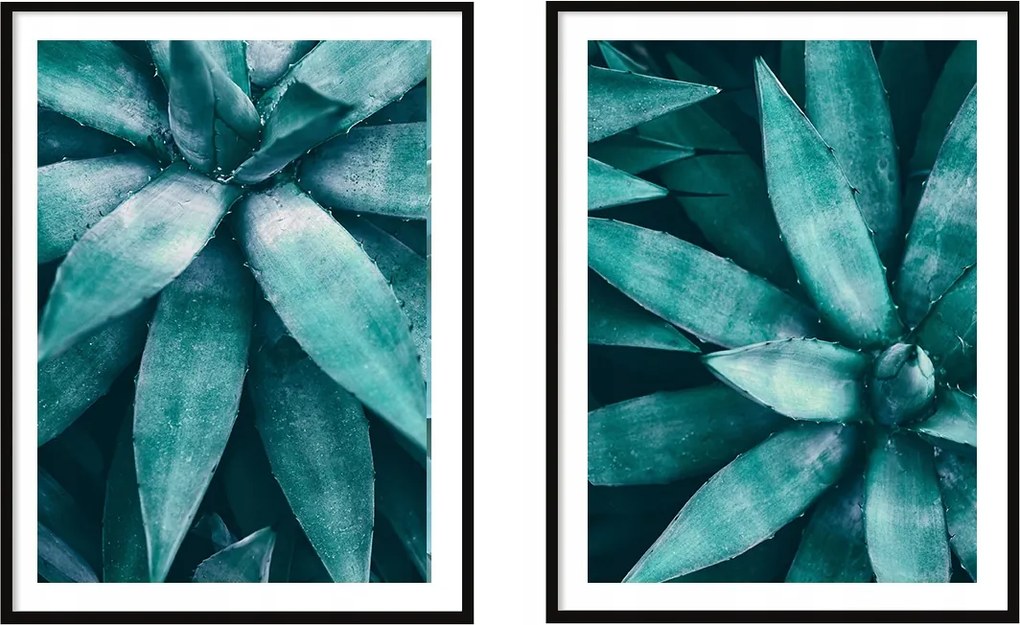 Obraz Plakáty V Rámu 53x73 cm Diptych Sada 2 obrazů Listy Květiny P2005