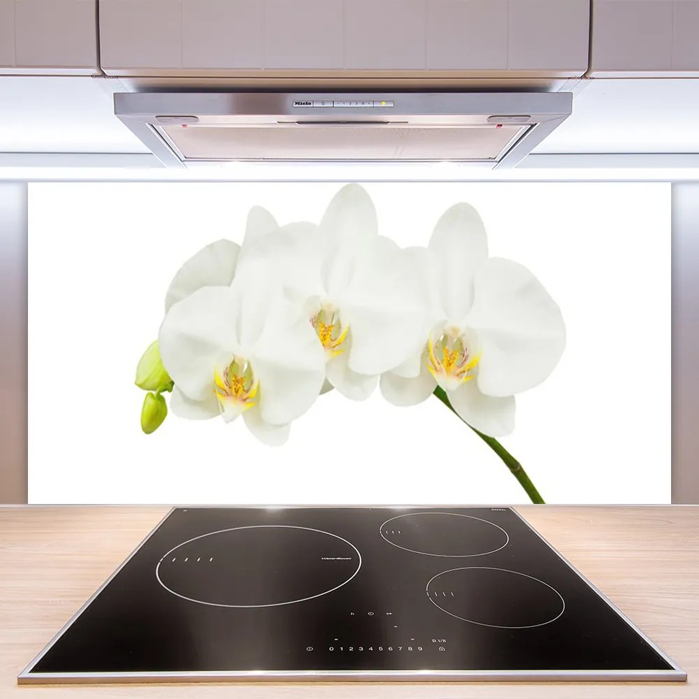 Skleněné obklady do kuchyně Orchidej Výhonky Květiny Příroda 100x50 cm