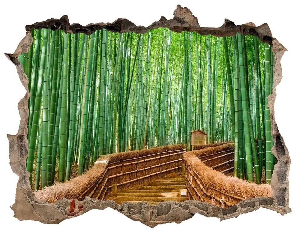 Wallmuralia Díra 3D fototapeta na stěnu nálepka Bambusový les 95x64 cm