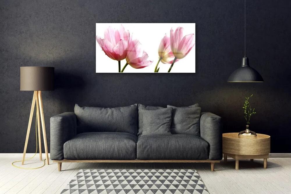 akrylový obraz Květiny Rostlina 100x50 cm