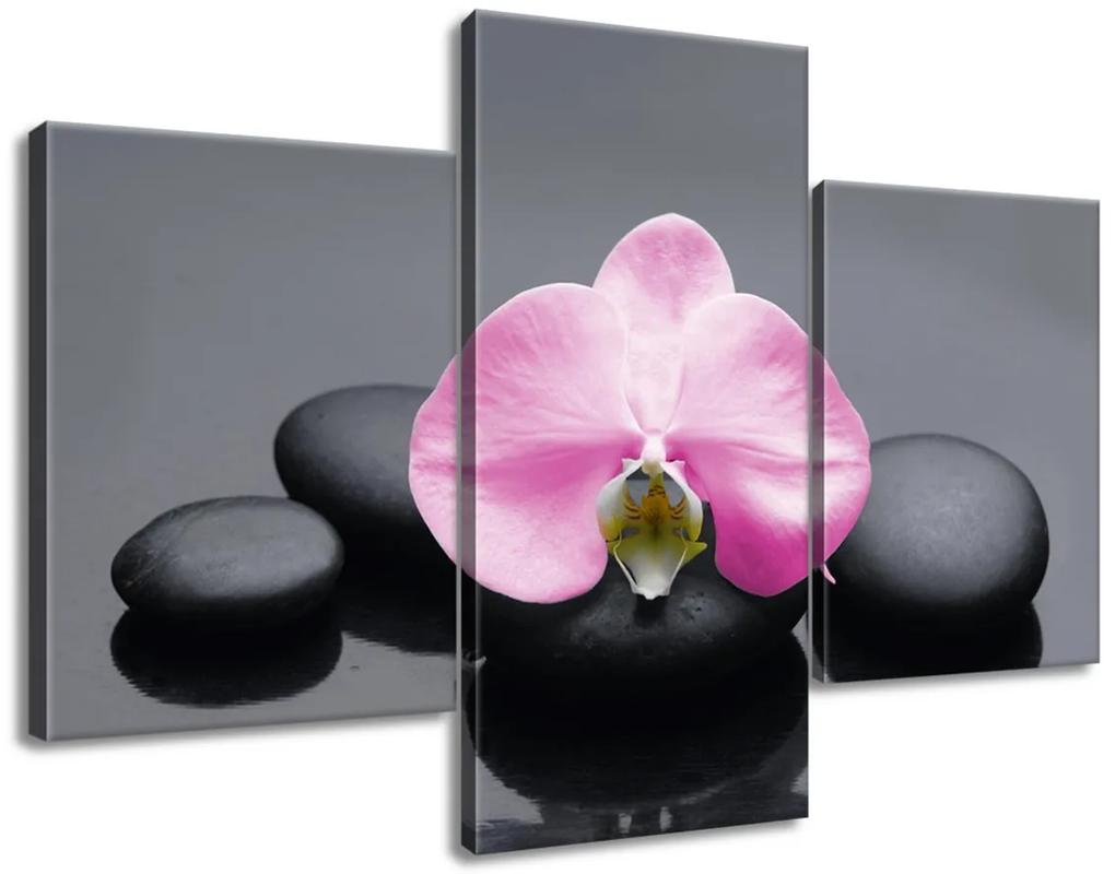 Gario Obraz na plátně Růžová orchidej a kameny Velikost: 90 x 60 cm