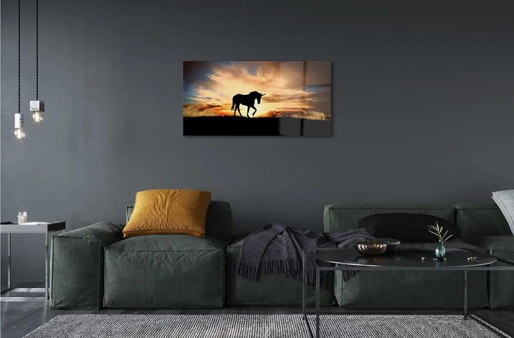 Obraz na skle Unicorn sunset 100x50 cm