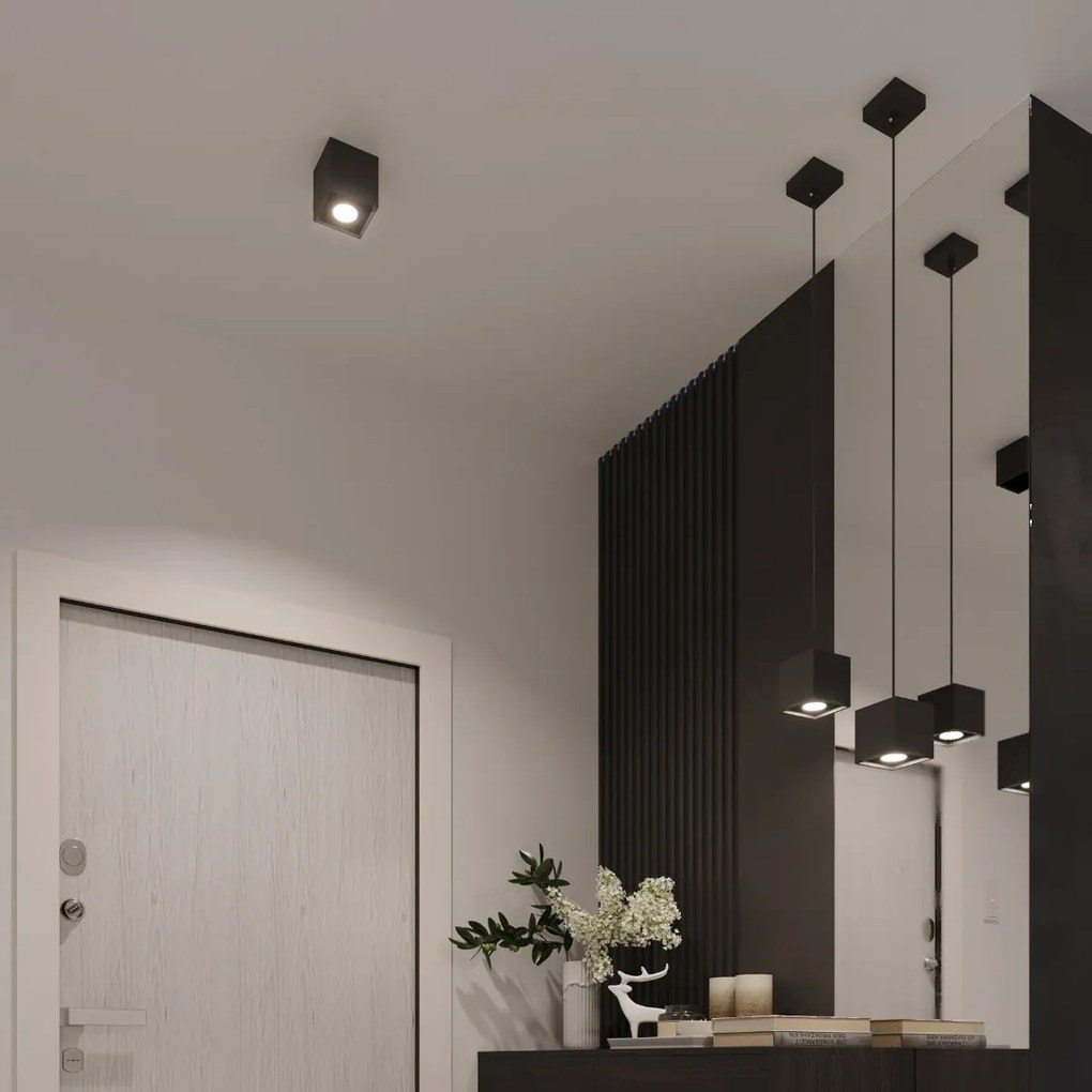 Stropní svítidlo Quad, 2x černé kovové stínítko