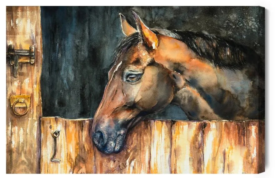 Obraz Kůň Na Dvoře Nedostatek Nedostatek Plátno Canvas 120x80
