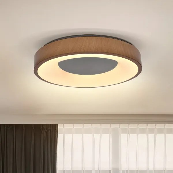 Brilagi - LED Stropní svítidlo DORIA LED/24W/230V