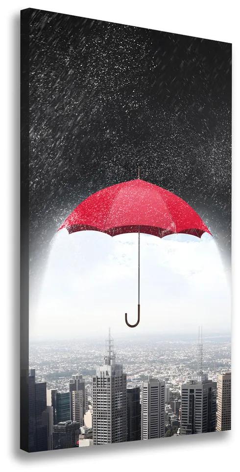 Wallmuralia Foto obraz na plátně Deštník nad městem 50x100 cm