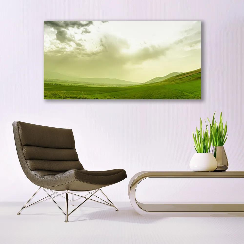 Plexisklo-obraz Louka Příroda Zelený Výhled 120x60 cm