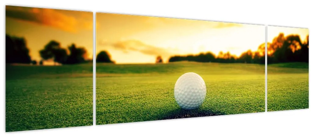 Obraz - Golf (170x50 cm)